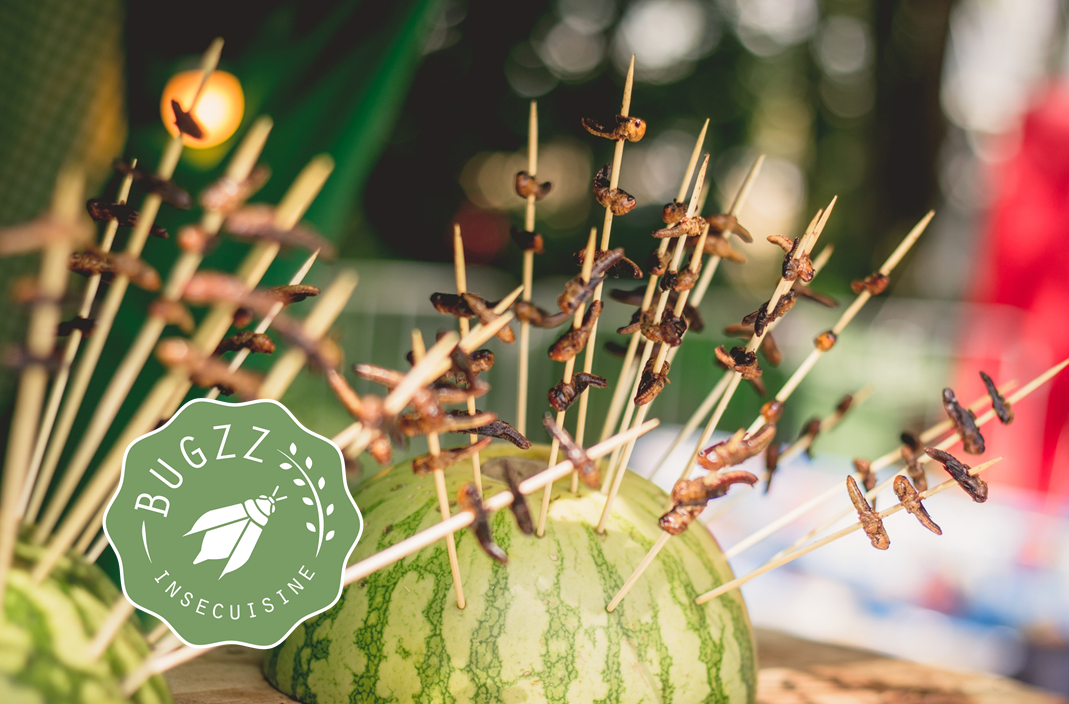 Workshop: "Make your own Bugzz!" - BUGZZ